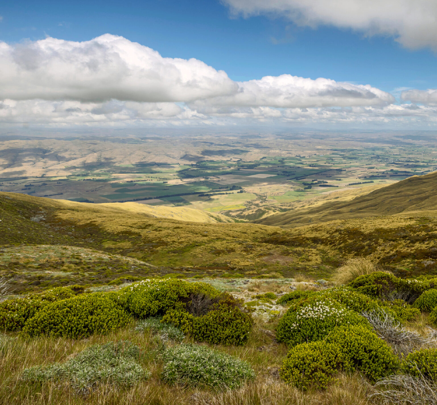 Our History - Discover Middlemarch